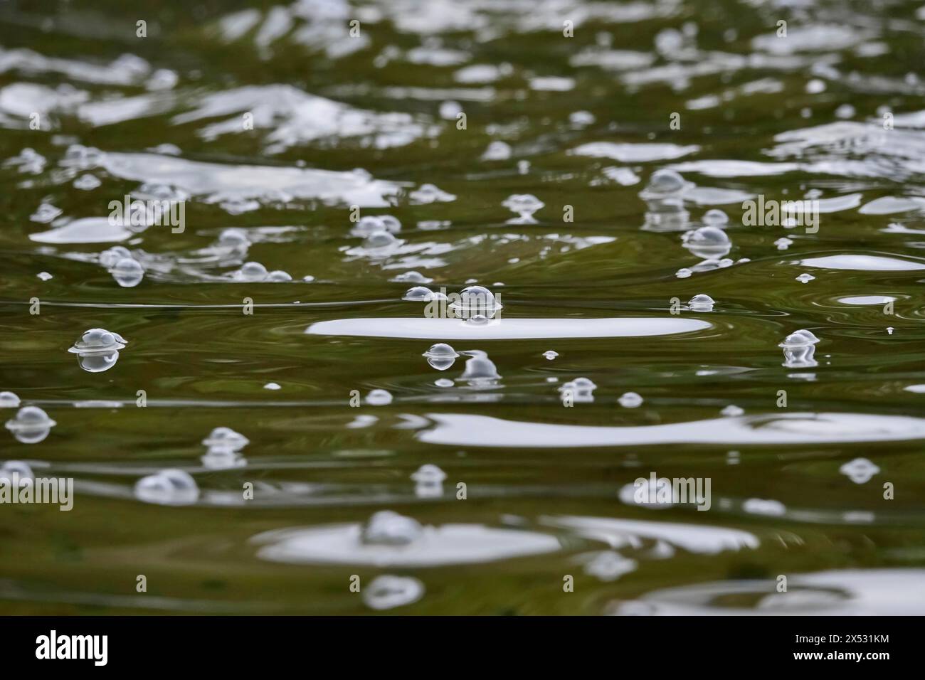 April weather, rain meets a lake, Germany Stock Photo - Alamy