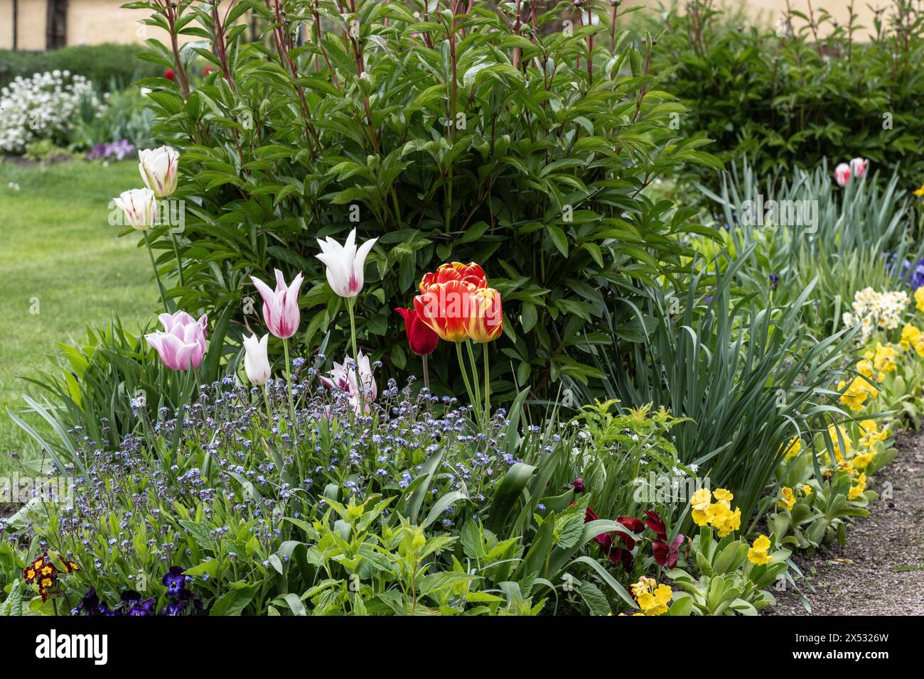 Flower bed in Goethe's garden, Weimar, Thuringia, Germany Stock Photo ...