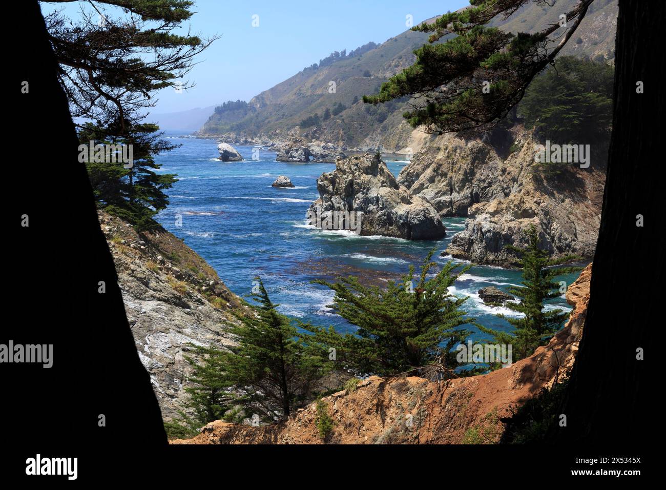 View through trees to a rugged coastal landscape with clear sky, Big ...