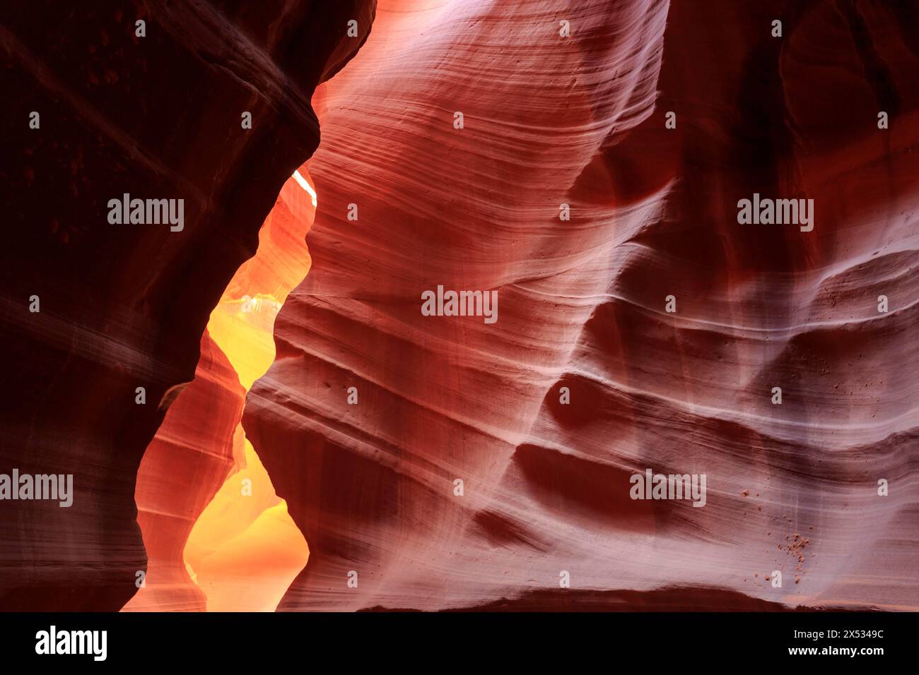 Warm rays of sunlight illuminate the undulating structures inside a ...