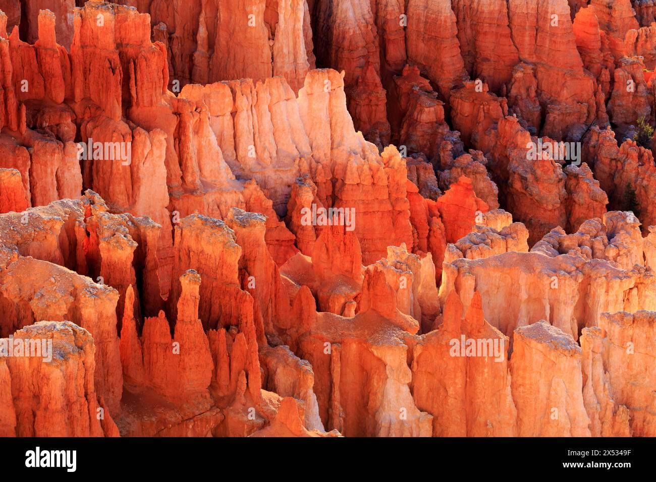 The rocks shimmer in shades of Orange and Red, while deep shadows form ...