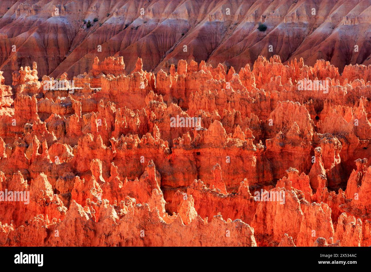 The evening sun illuminates the red rocks and creates sharp shadows ...