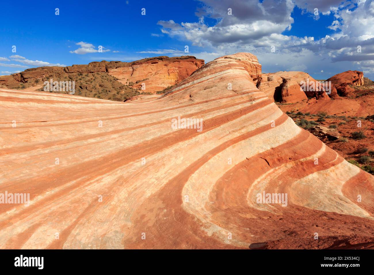 Picture shows an impressive desert landscape with undulating red rocks ...