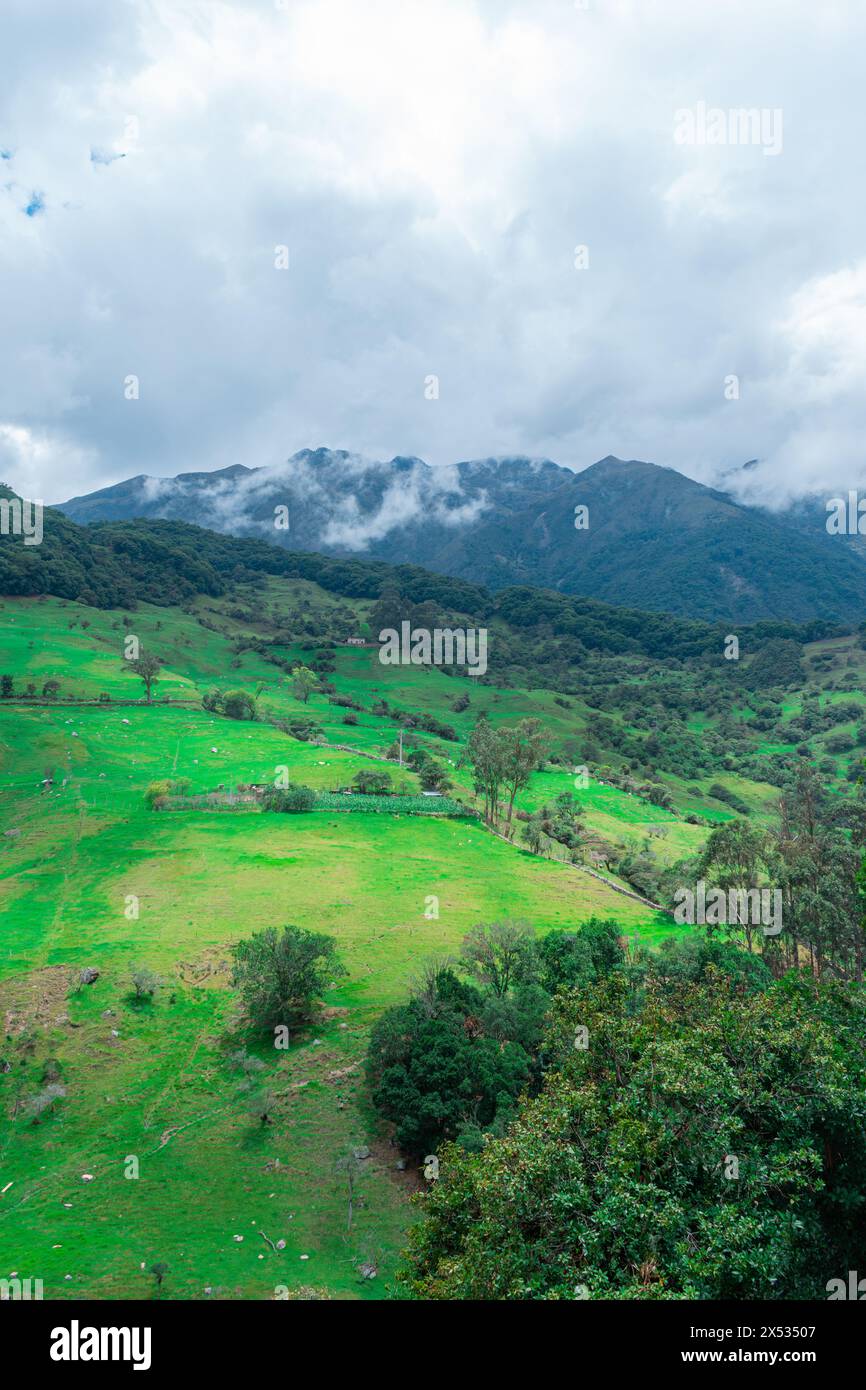 WOODED WATERLAND LANDSCAPE IN COLOMBIA WITH CROPS IN THE LOWER PART OF ...