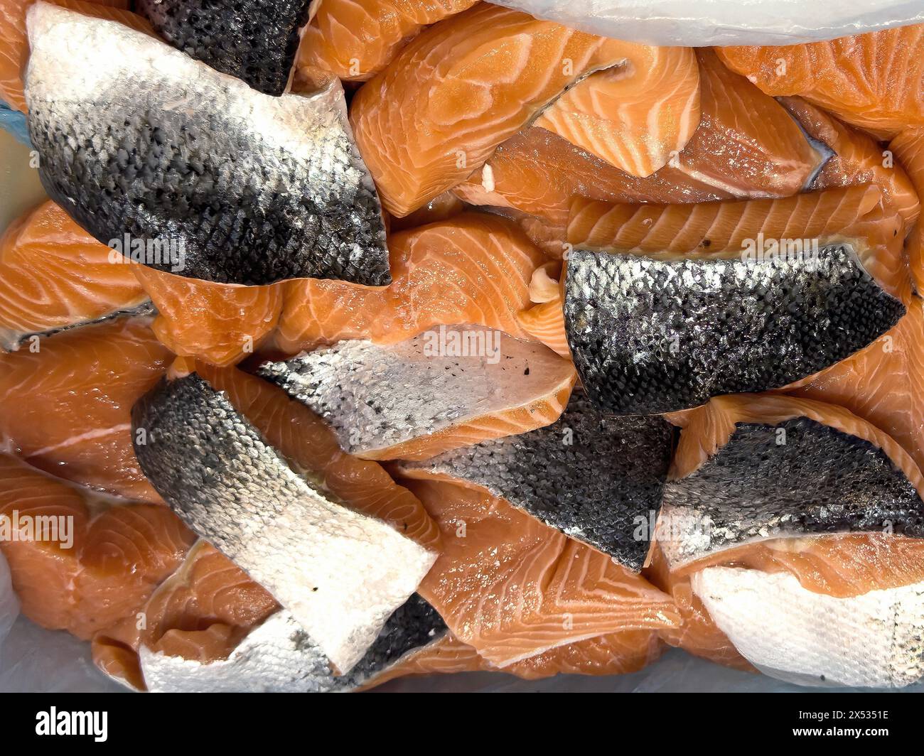 Display of fish caught Pacific salmon (Oncorhynchus) in the form of ...