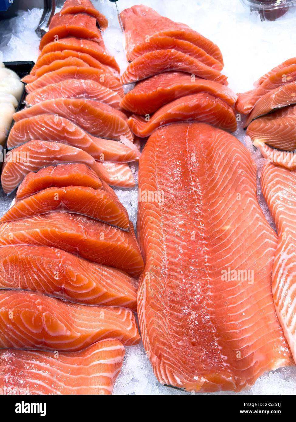 Display of Pacific salmon (Oncorhynchus) caught by fishing in the form ...