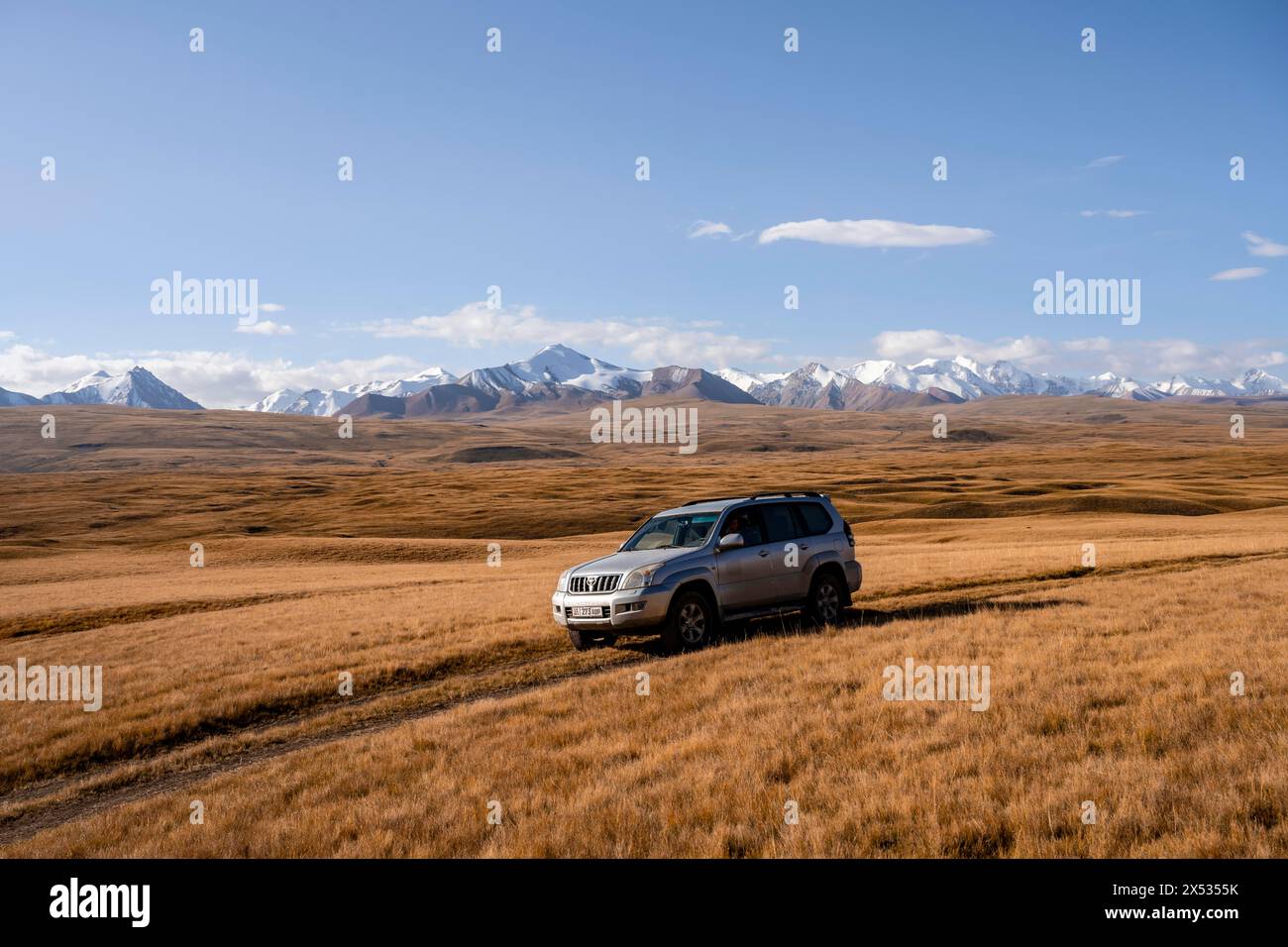 Off-road vehicle Toyota Land Cruiser driving on a track through yellow ...
