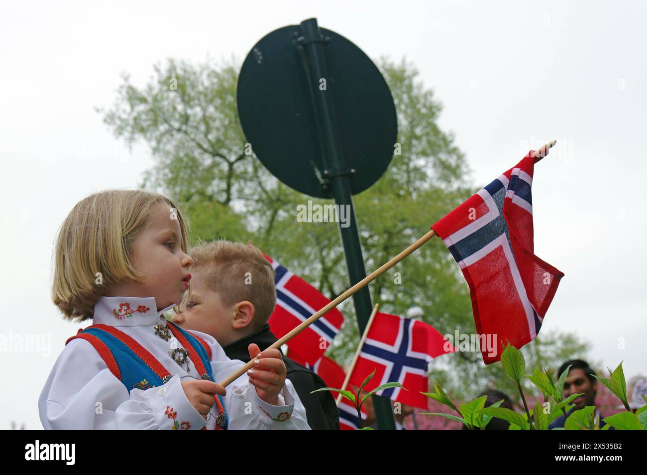 Little girl in traditional traditional costume waving a flag, folklore ...