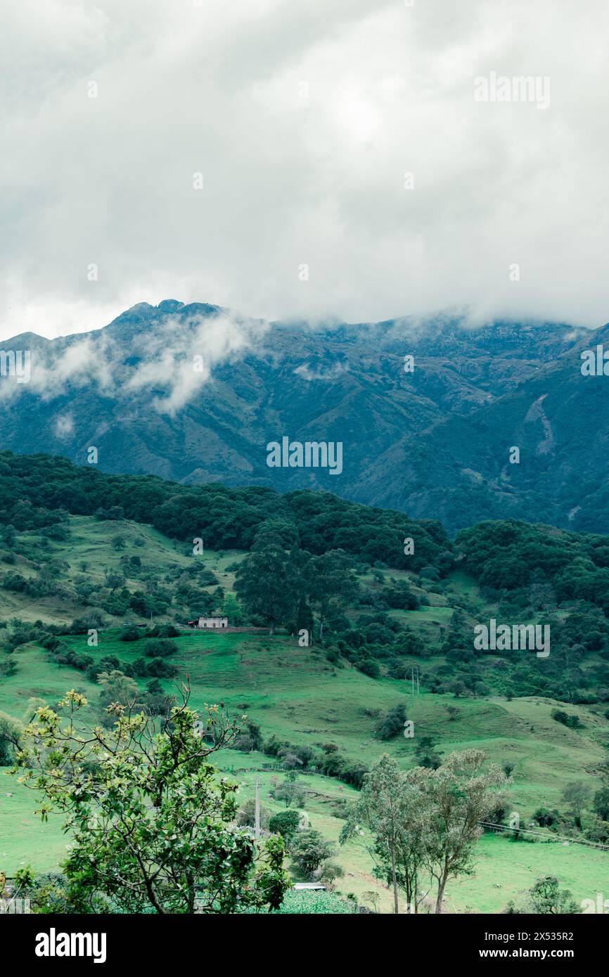 WOODED WATERLAND LANDSCAPE IN COLOMBIA WITH CROPS IN THE LOWER PART OF ...