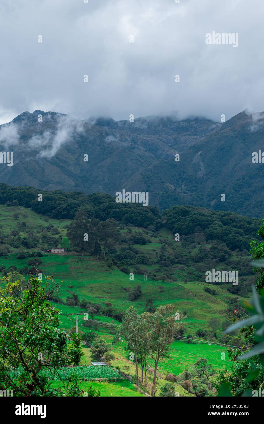 WOODED WATERLAND LANDSCAPE IN COLOMBIA WITH CROPS IN THE LOWER PART OF ...