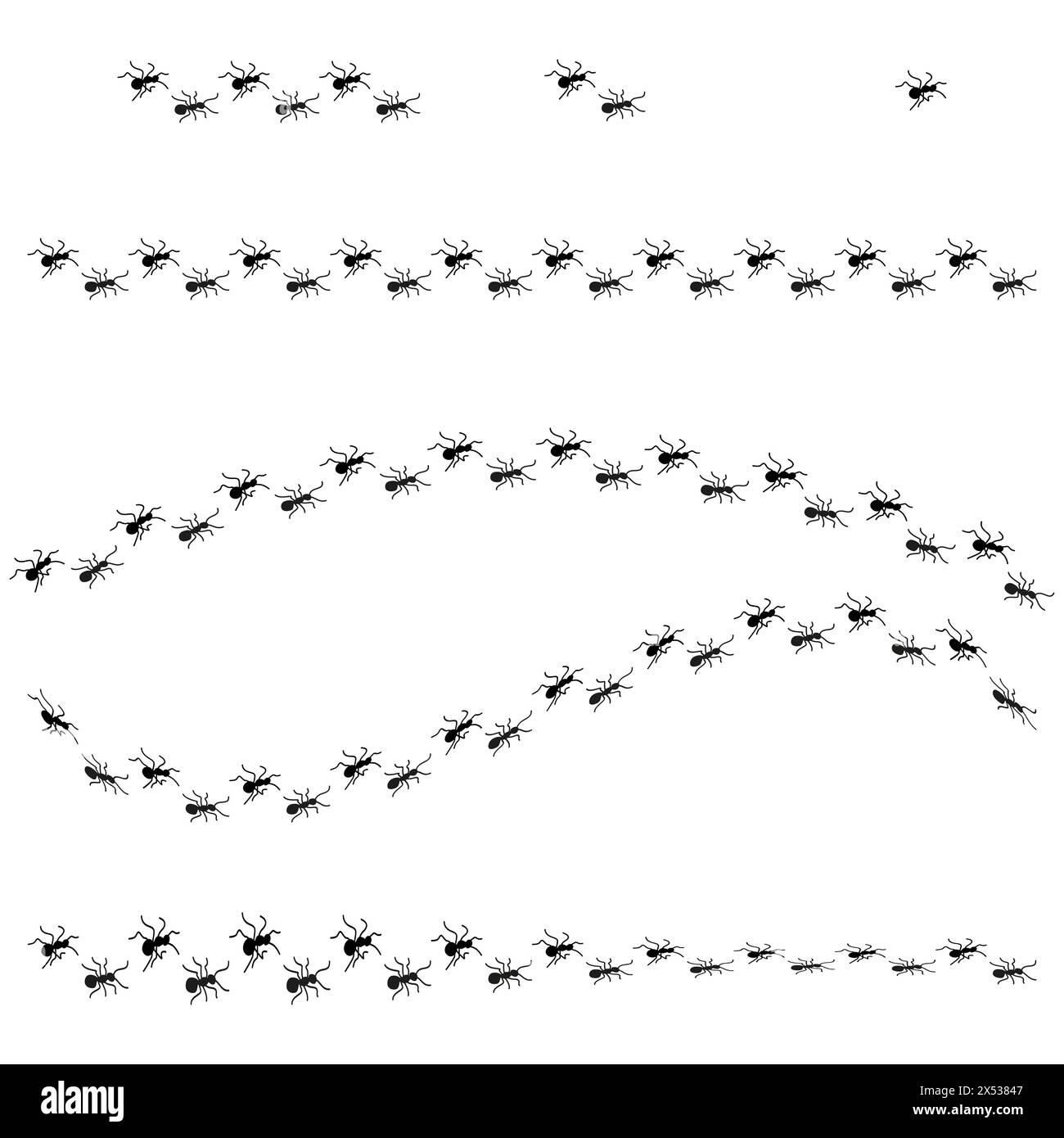 Ant trails Cut Out Stock Images & Pictures - Alamy