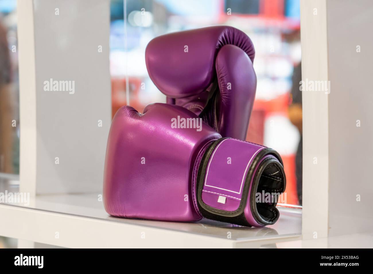 Boxing purple gloves on the shelf of the fightwear shop. Boxing gloves ...