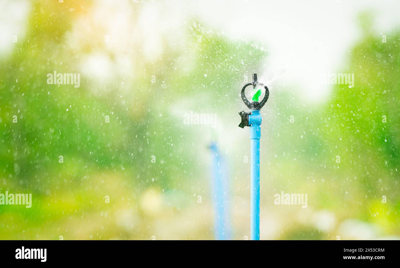 Automatic sprinkler watering green plant garden. Sustainable ...