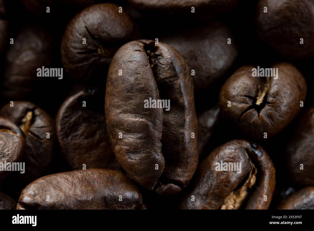 Roasted coffee beans, Railaco, Timor-Leste Stock Photo - Alamy