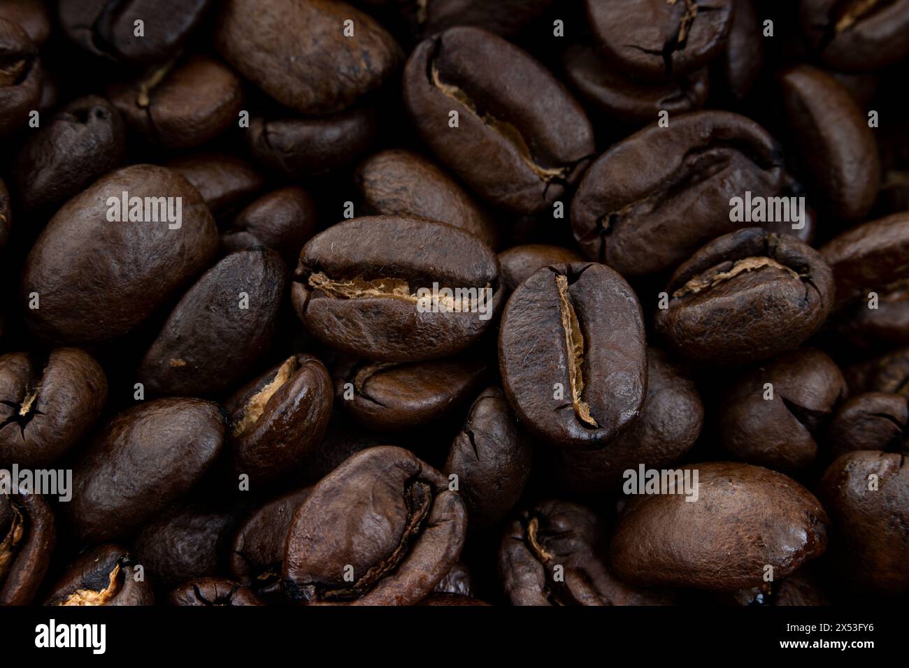 Roasted coffee beans, Railaco, Timor-Leste Stock Photo - Alamy
