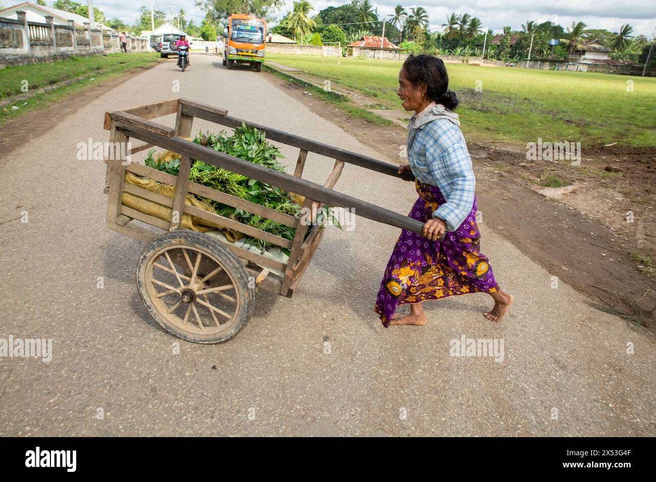 Vendor at Lospalos market, Timor-Leste Stock Photo - Alamy