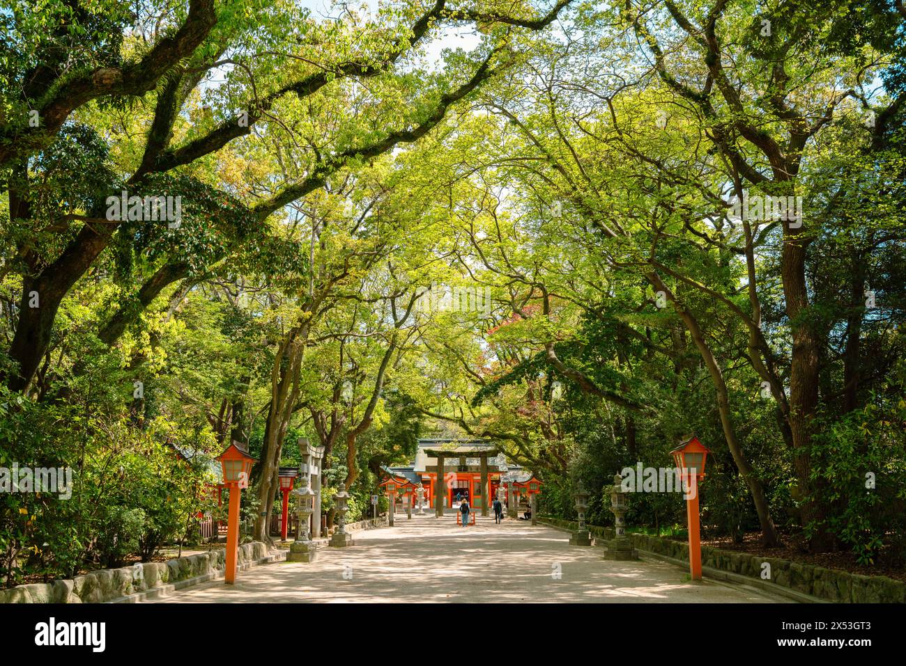 Fukuoka, Japan - April 10, 2024 : Sumiyoshi Shrine green forest Stock ...