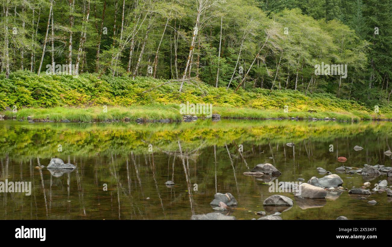 Snark creek hi-res stock photography and images - Alamy