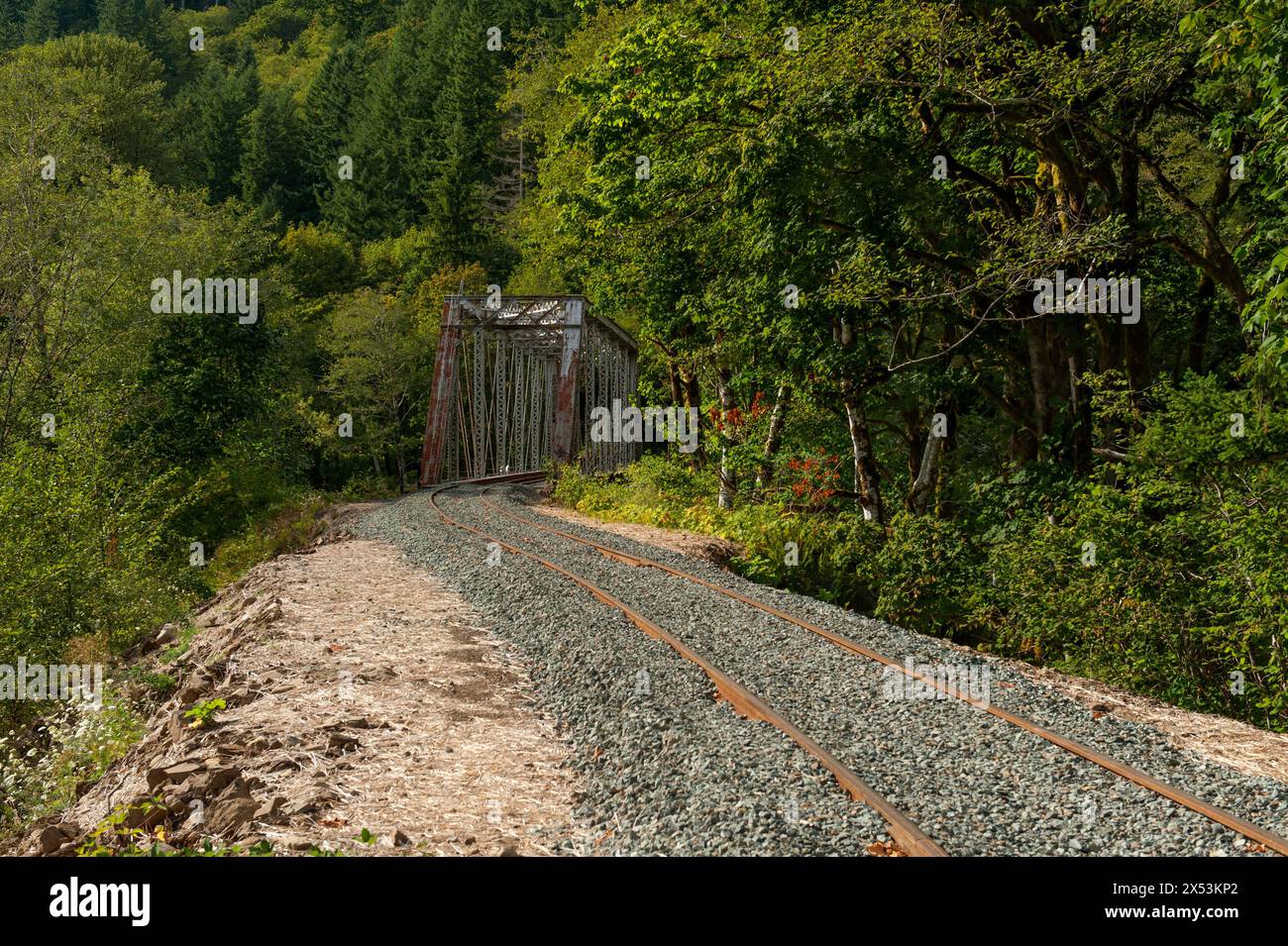 Abandoned railroad track and bridge across the Nehalem River in Oregon ...