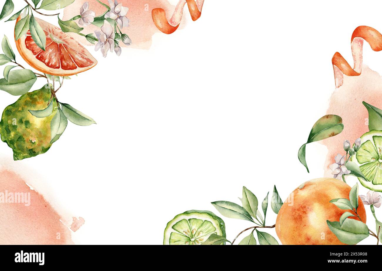 Bergamot and grapefruit ripe citrus mixed and jasmine flowers, watercolor stroke isolated border ...
