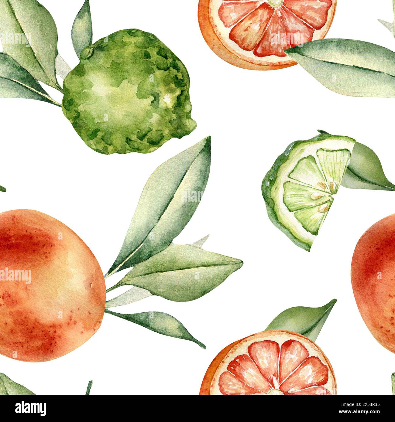 Grapefruit and bergamot citrus fruits with leaves watercolor seamless pattern isolated. Hand ...
