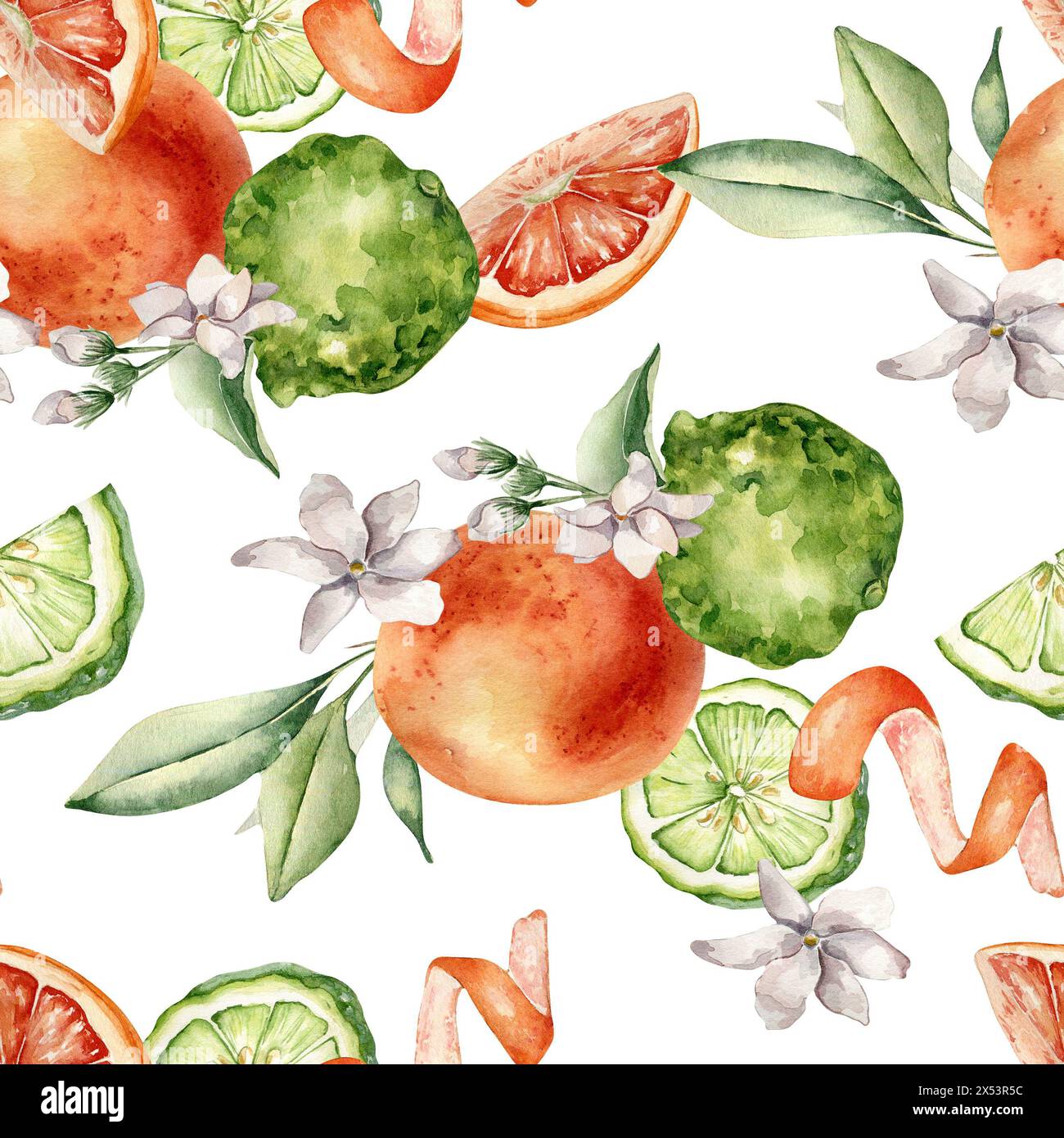 Jasmine flowers with citrus fruits grapefruit and bergamot watercolor seamless pattern isolated ...