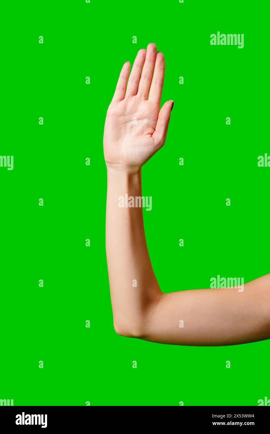 Womans Arm Hand Sign Raised in the Air Stock Photo - Alamy