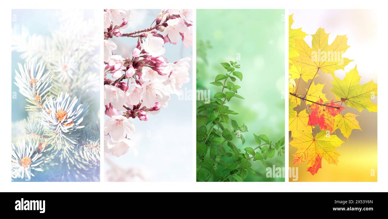 Four seasons of year. Set of vertical nature banners with winter ...