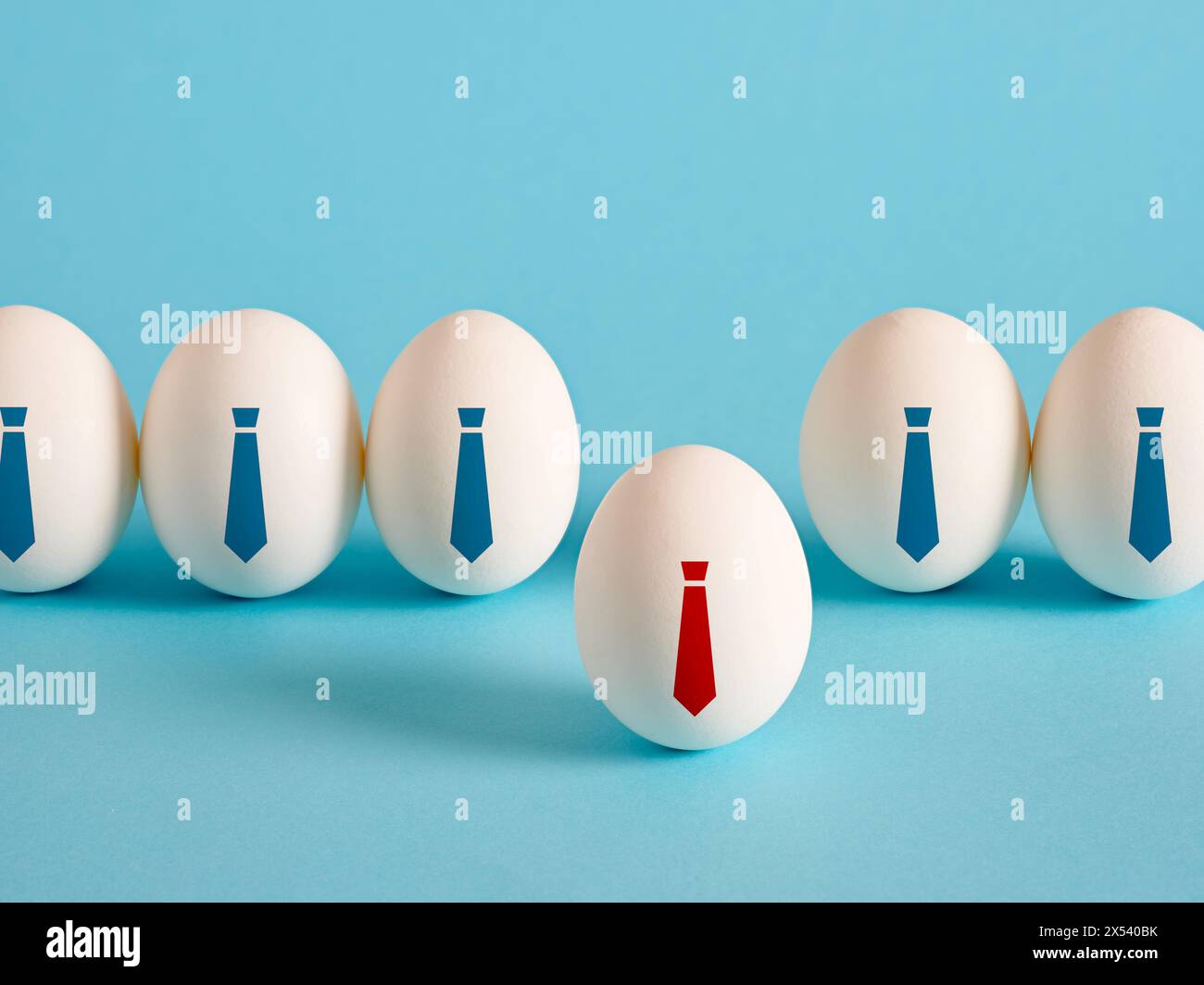 Job and career promotion. To select a leader for the team. Employment ...