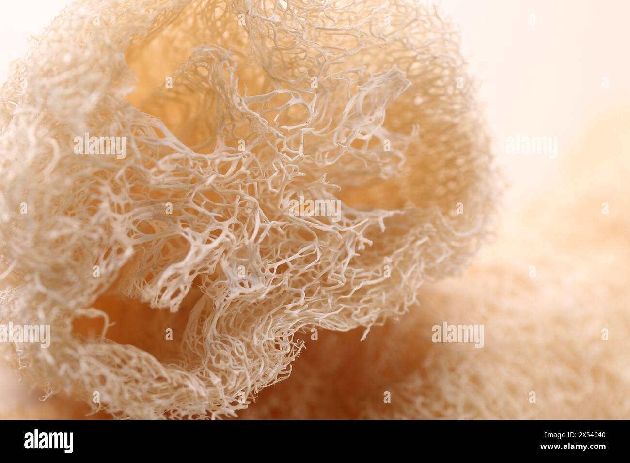 Natural loofah sponge as background, closeup view Stock Photo - Alamy