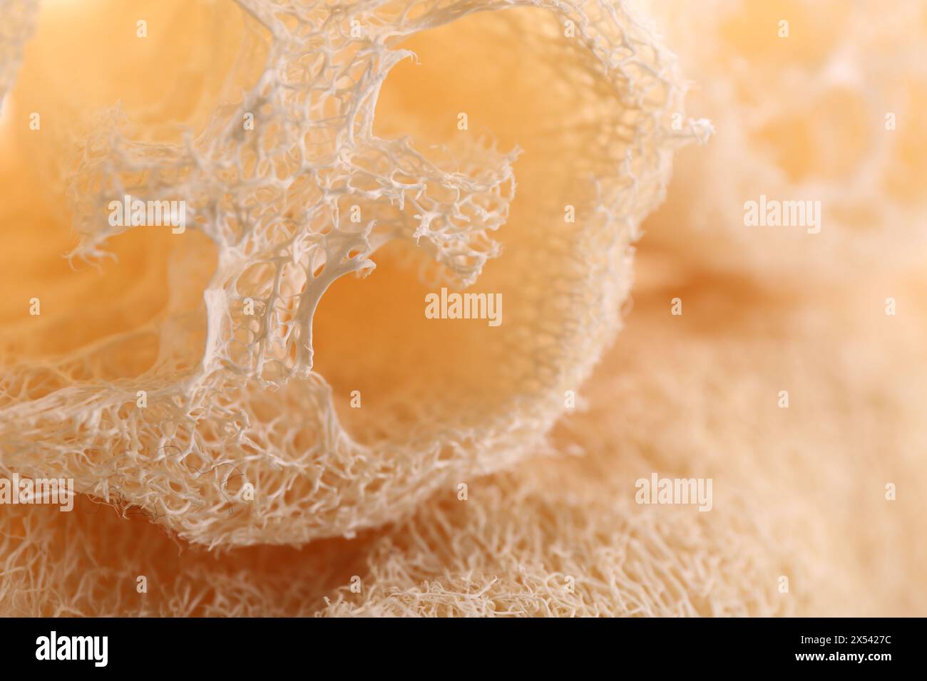 Natural loofah sponge as background, closeup view Stock Photo - Alamy