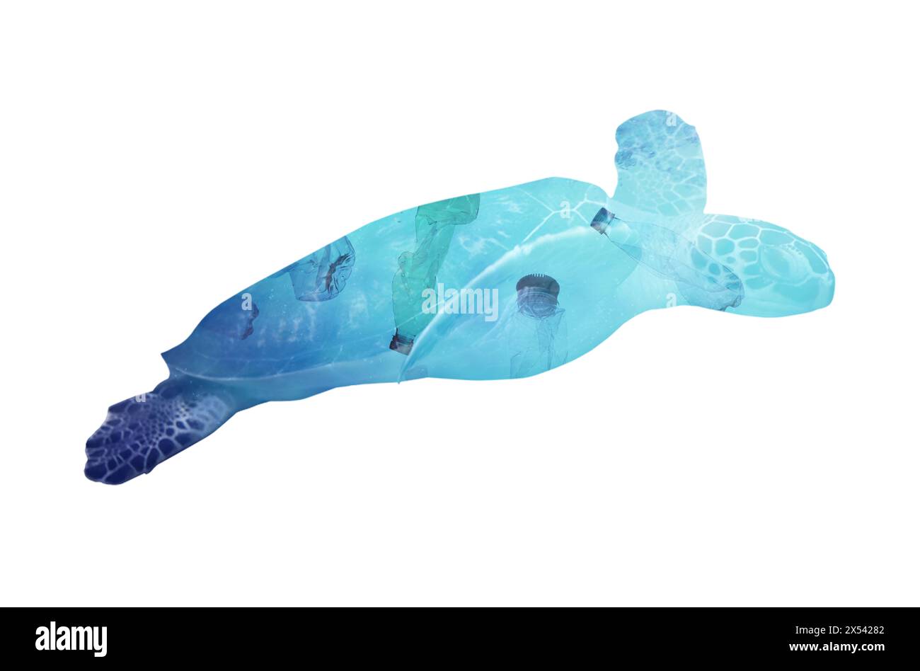 Ocean garbage animal Cut Out Stock Images & Pictures - Alamy