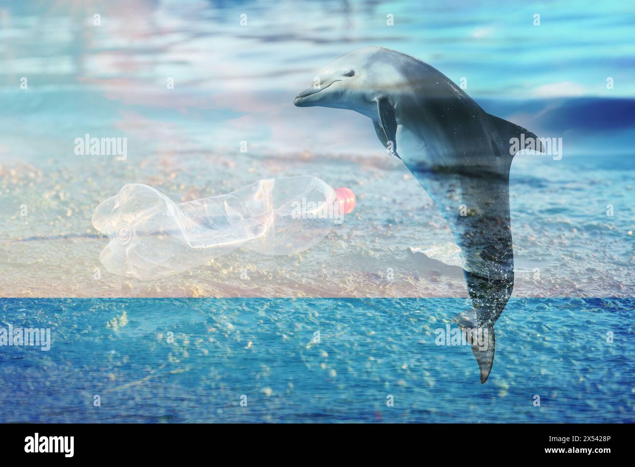 Plastic garbage and dolphin, double exposure. Environmental pollution ...