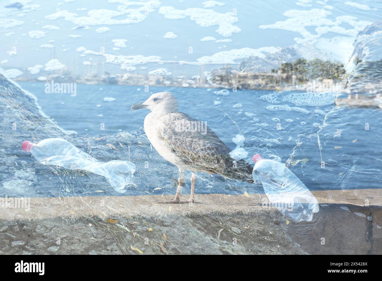 Plastic garbage and seagull, double exposure. Environmental pollution ...