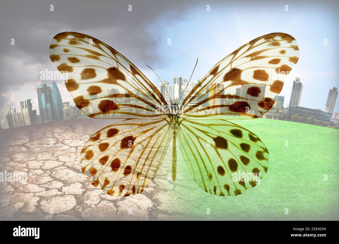 Double exposure of butterfly and conceptual image depicting Earth ...