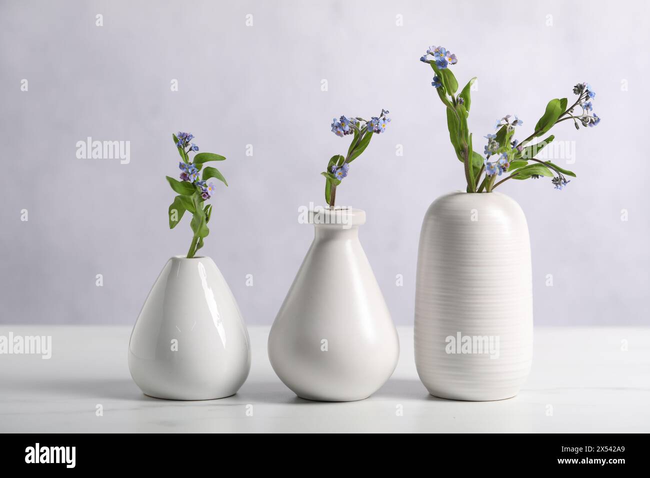 Beautiful forget-me-not flowers in vases on white marble table, closeup ...