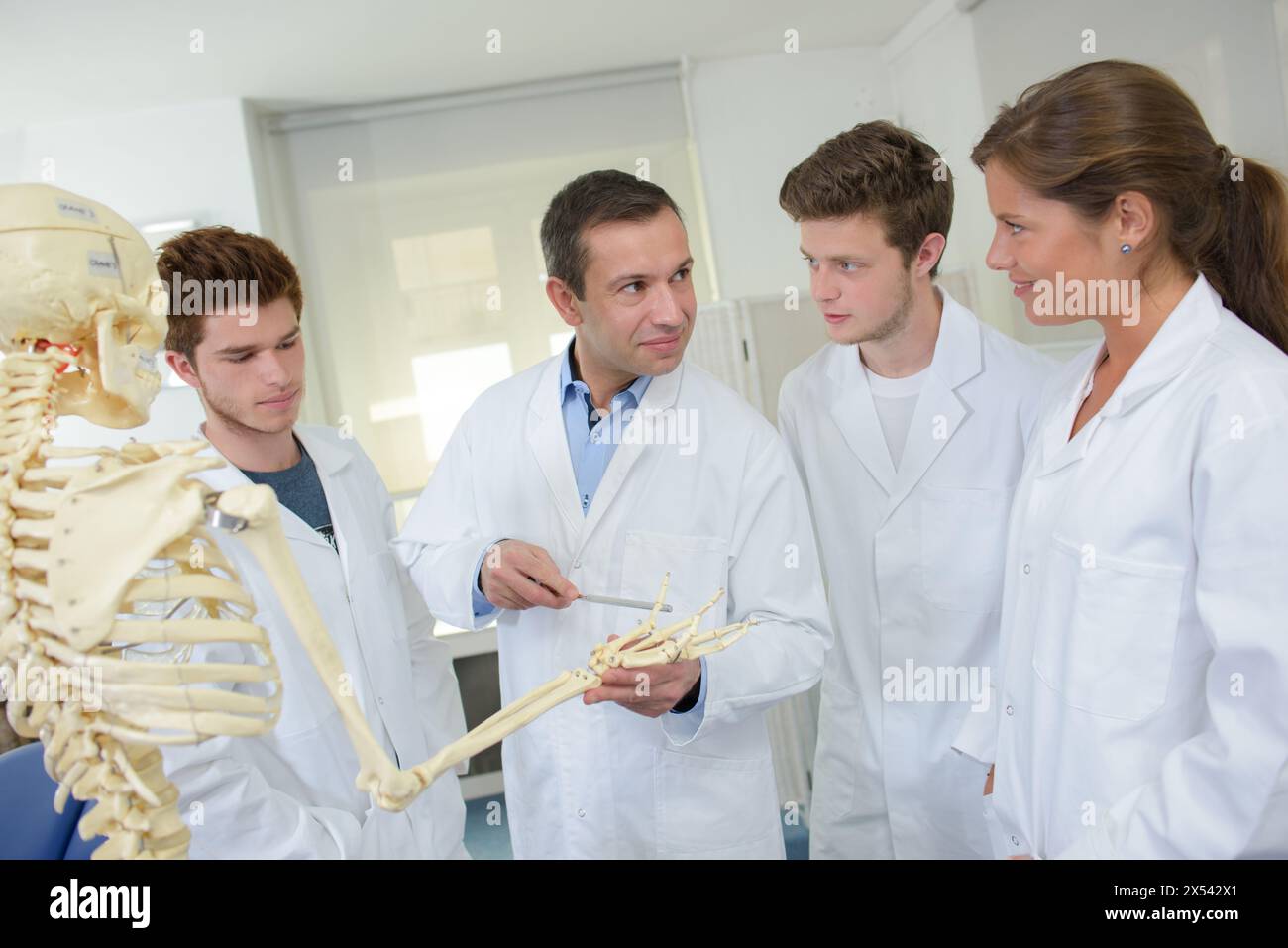 student and teacher in medical class - skeleton Stock Photo - Alamy