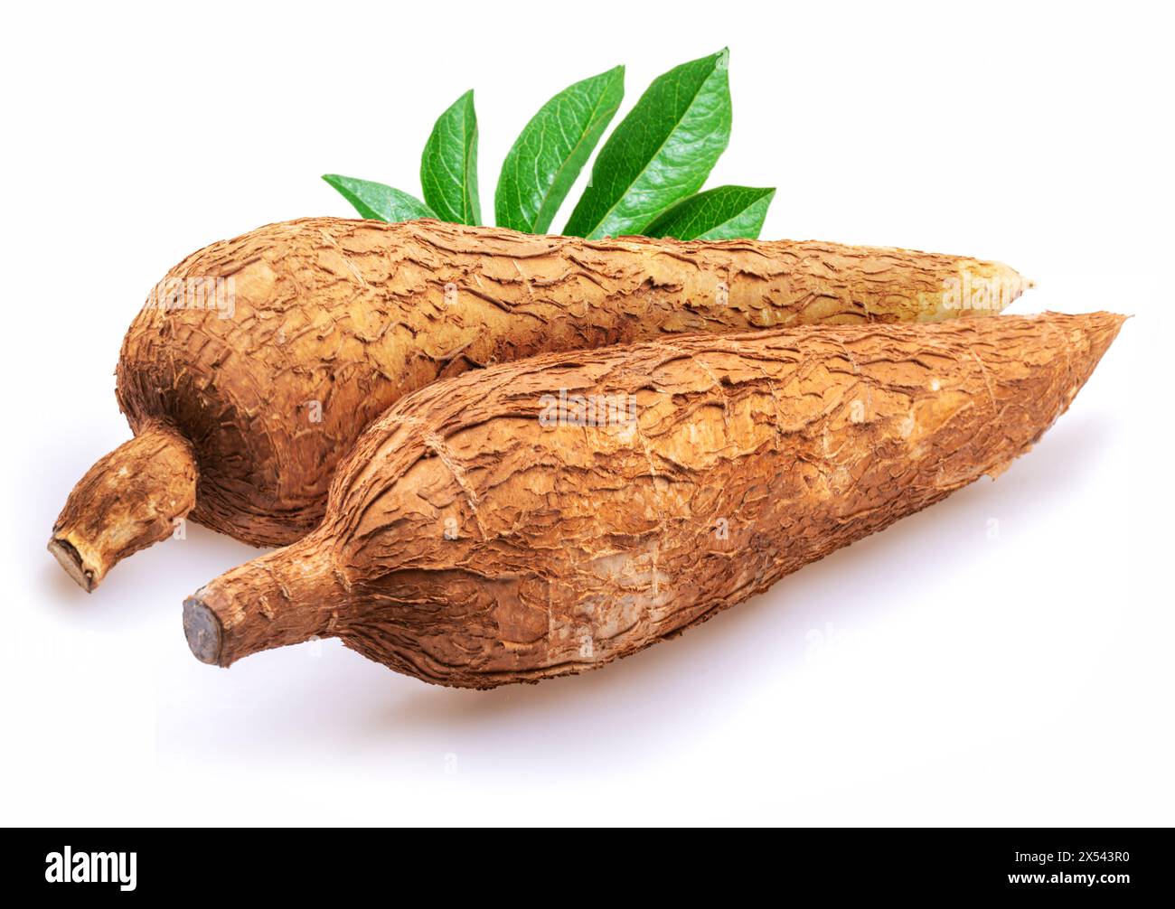 Cassava tubers with leaves isolated on white background Stock Photo - Alamy