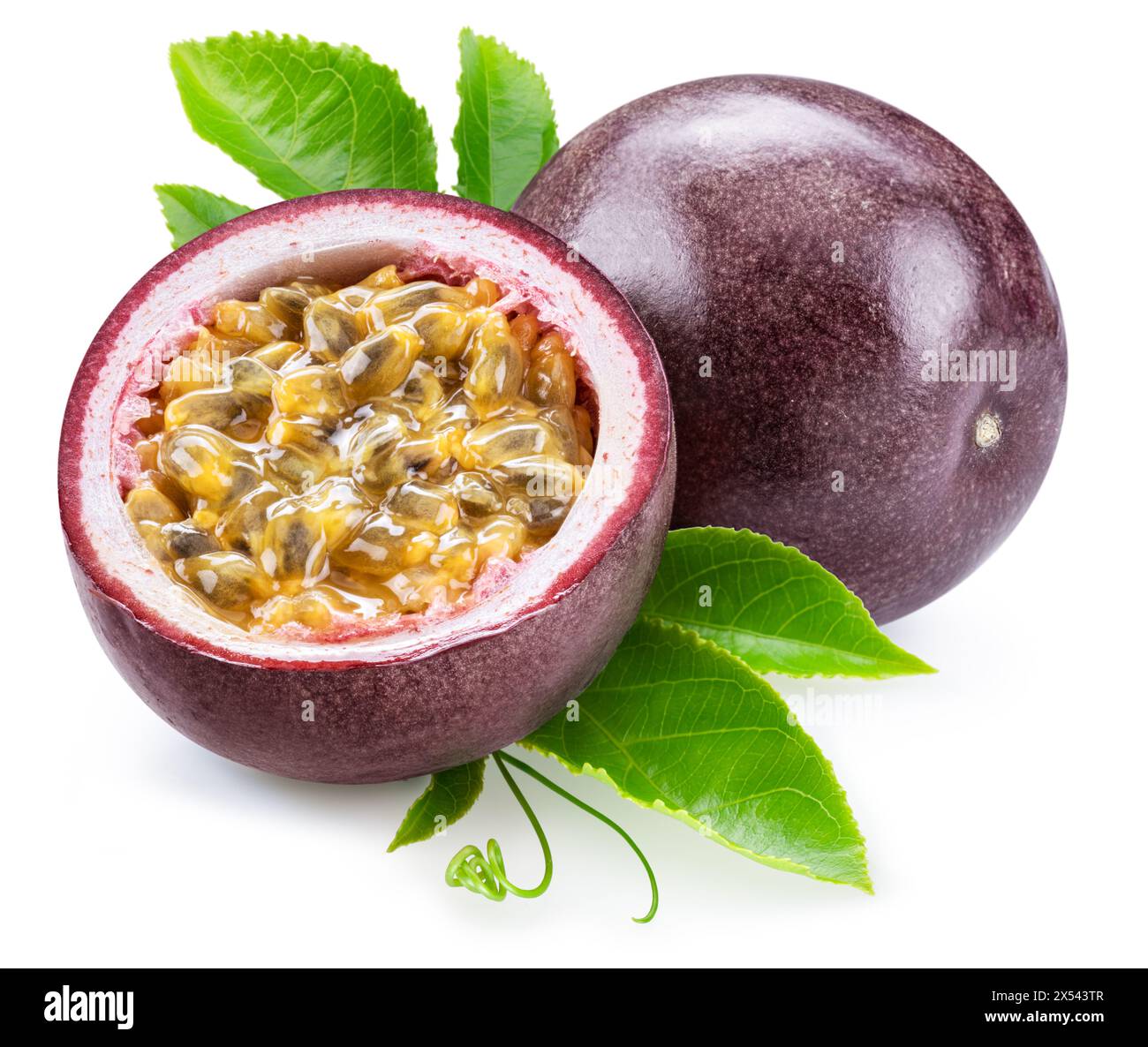 Dark purple passion fruit and it's half with seedly interior on white ...