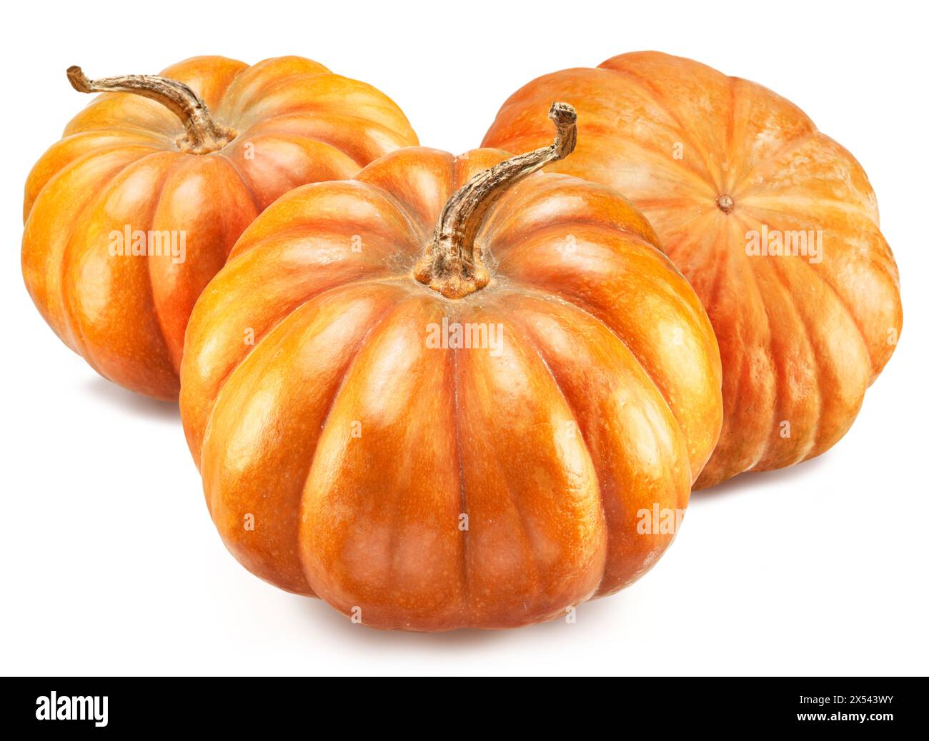 Round ripe pumpkins isolated on white background Stock Photo - Alamy