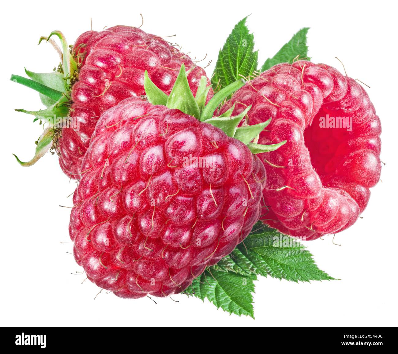 Raspberries isolated on white background Stock Photo - Alamy