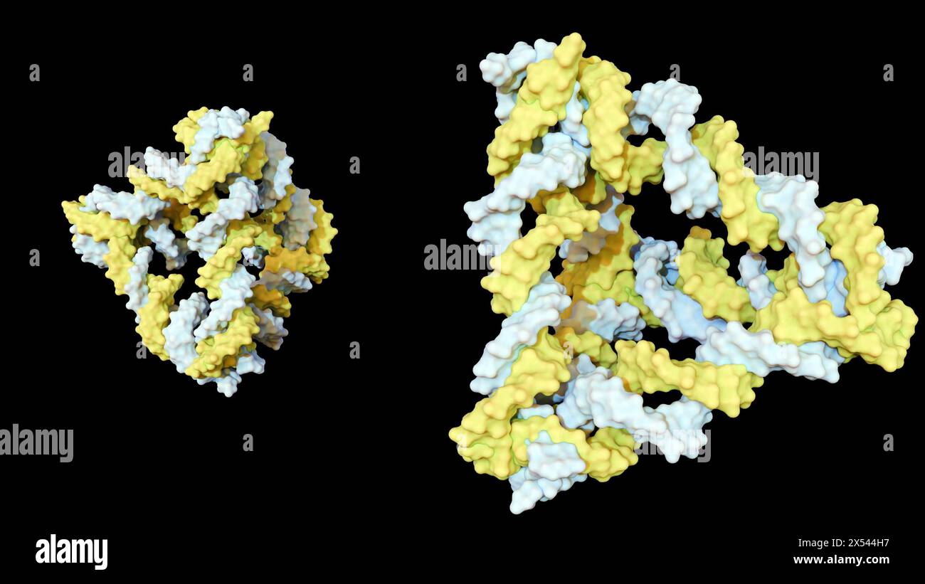 The DNA tetrahedron is designed to be mechanically robust; it consists ...