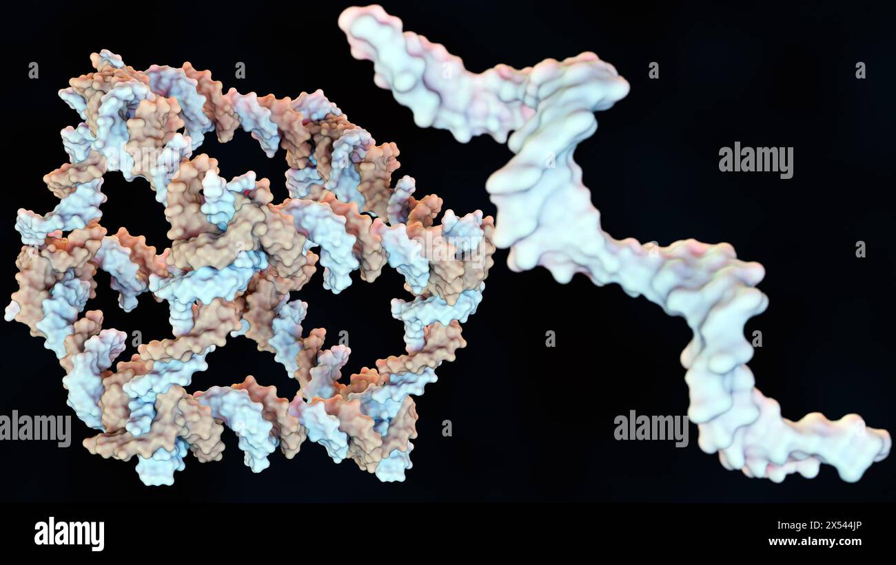 3d rendering of the construction from DNA of a covalently closed cube ...