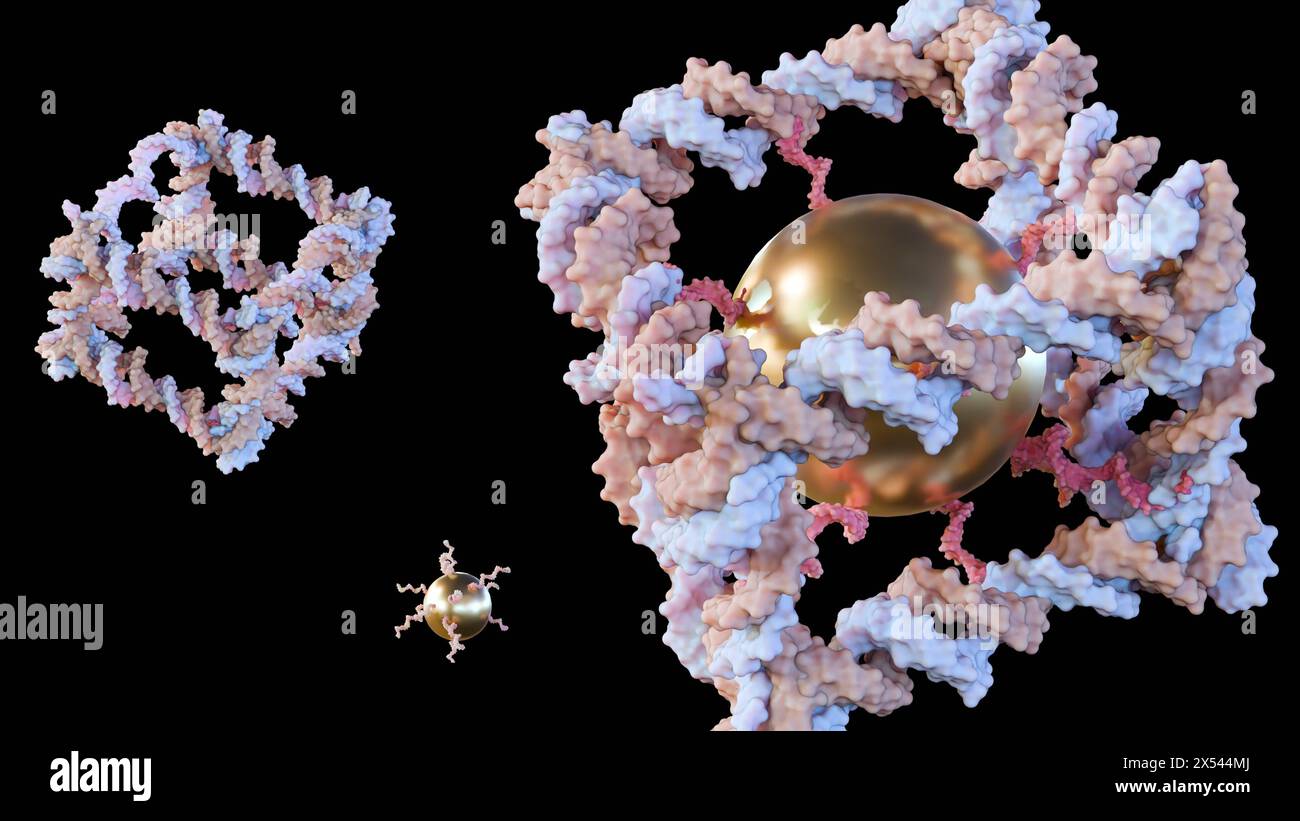 3d rendering of gold nanoparticles conjugated inside of the ...