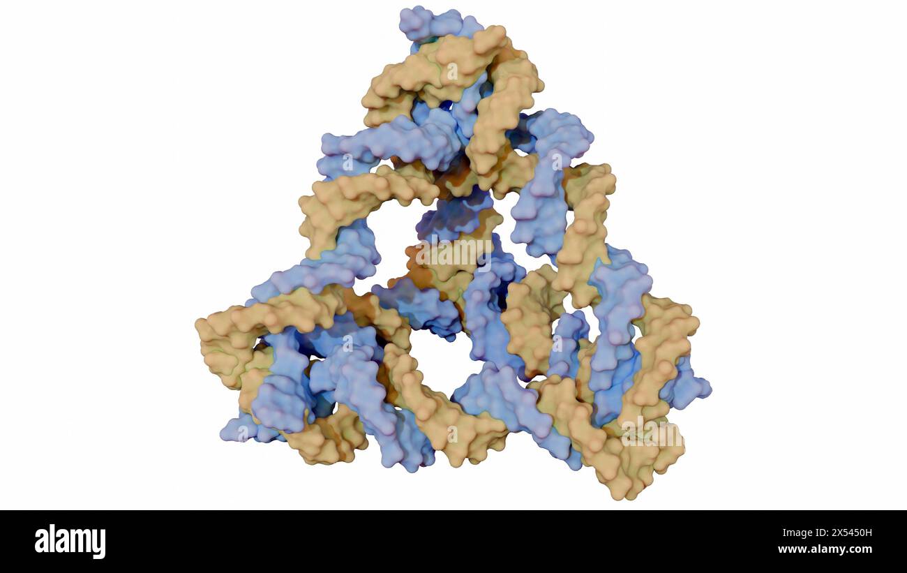 The DNA tetrahedron is designed to be mechanically robust; it consists ...