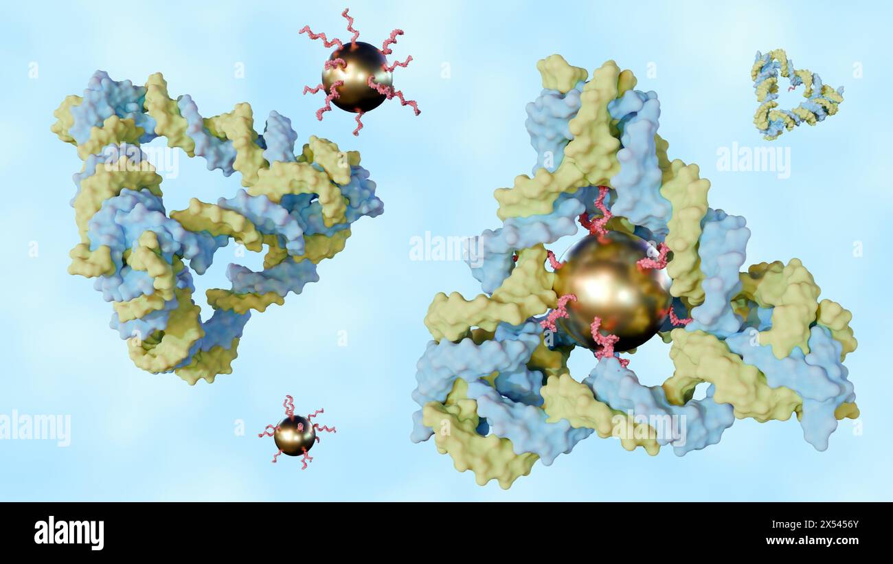 3d rendering of conjugated gold nanoparticles inside of DNA tetrahedron ...