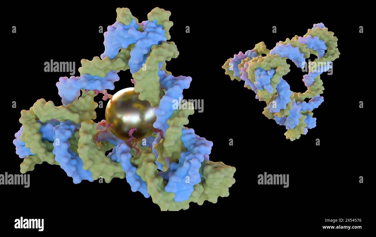 3d rendering of conjugated gold nanoparticles inside of DNA tetrahedron ...