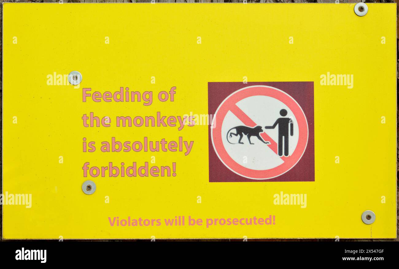 Yellow warning sign in Zoo for feeding the monkeys is absolutely ...