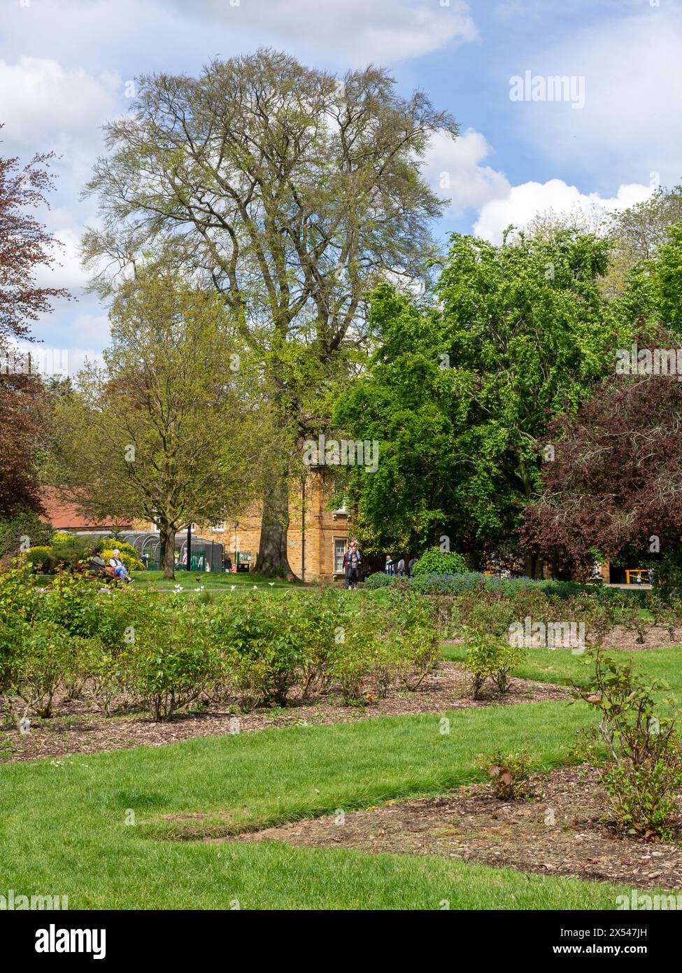 English park in spring hi-res stock photography and images - Alamy