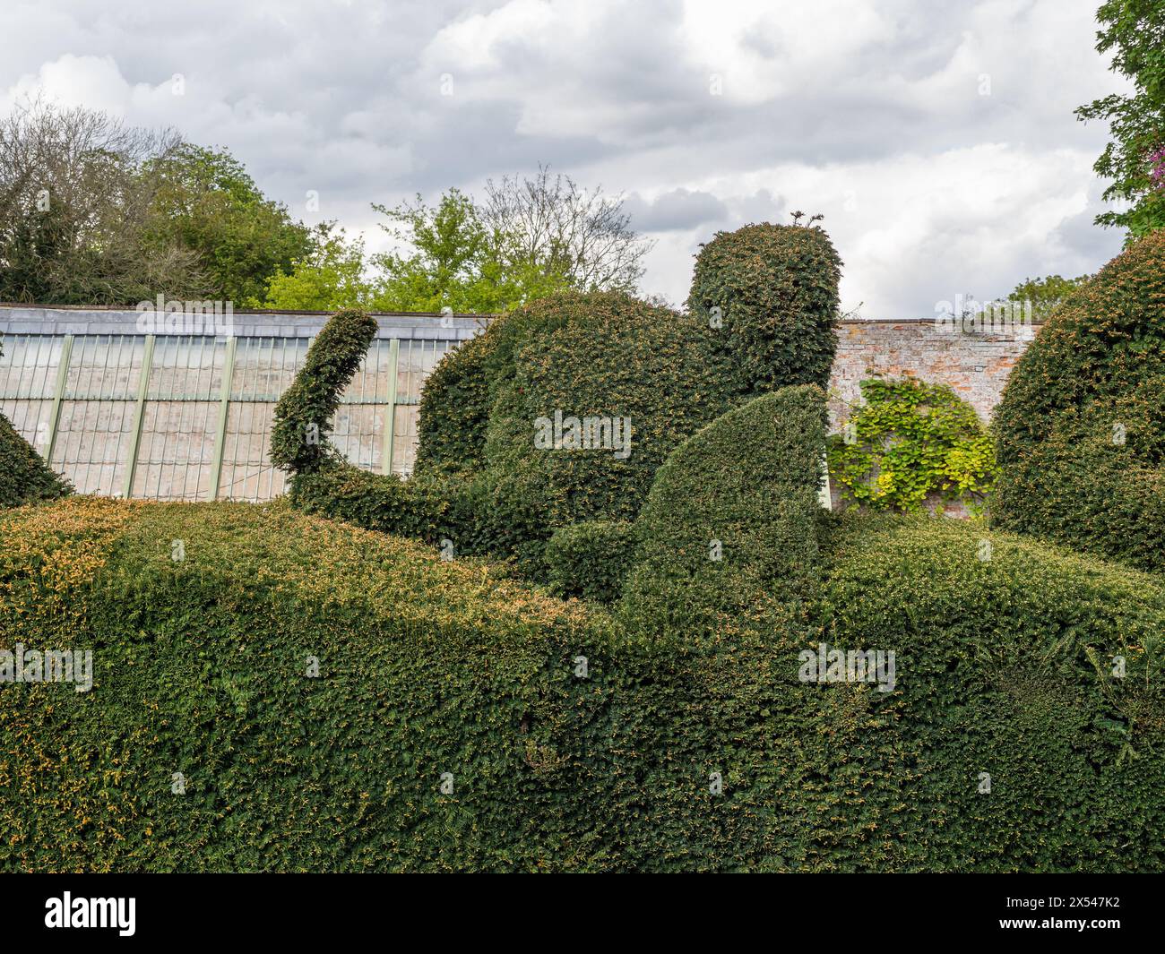 Topiary hedge clipped into the shape of an elephant, Walled Garden ...